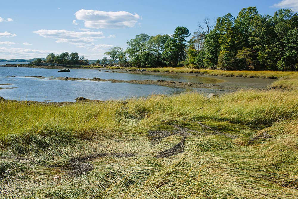 Piscataqua Region Estuaries Partnership