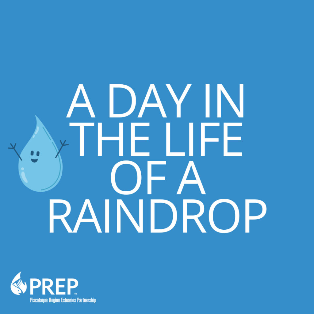 A Day In the Life of a Raindrop – Erosion | Piscataqua Regional ...