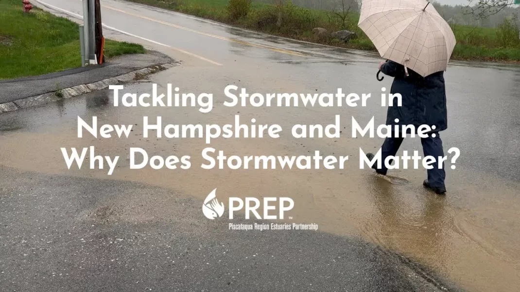 Why does stormwater matter? | Piscataqua Regional Estuaries Partnership